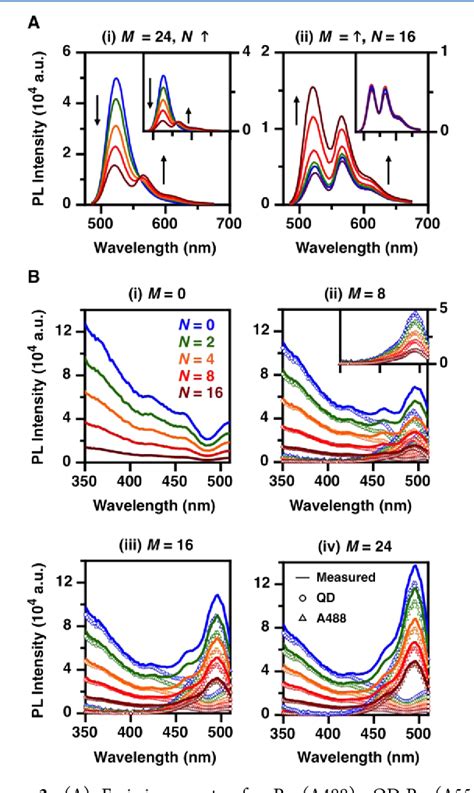Figure 1 From Quantum Dot Based Multidonor Concentric Fret System And Its Application To