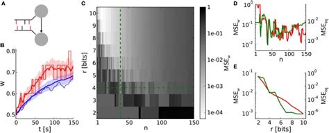 Weight Evolution Of A Single Synapse With Discrete Weights A Network
