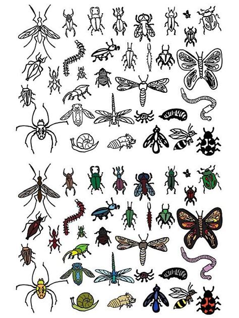 33 Hand Drawn Vector Bug Doodles Bugs Drawing Drawings Cute Doodles