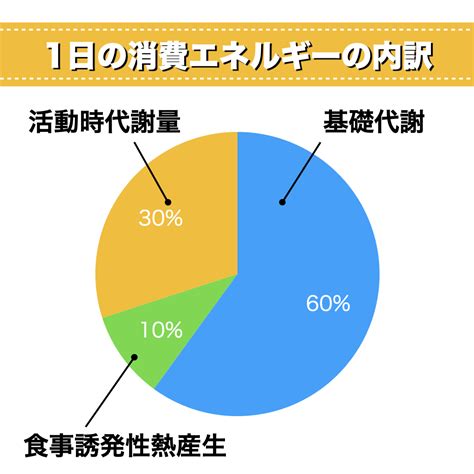 消費エネルギーを最大限に増やして効率よくダイエットする方法 パーソナルトレーニングジムメクスターmextrのお役立ち情報メディア