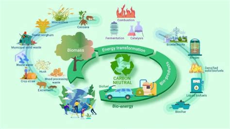 Researchers Evaluate Biomass Energy Conservation And Carbon Reduction