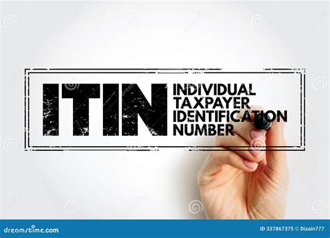 Tax Identification Number Icon Vector Logo Outline