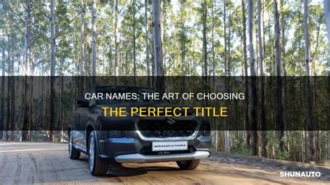 Car Names The Art Of Choosing The Perfect Title Shunauto