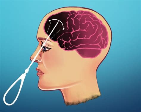 What Is Malinformation Inqpress