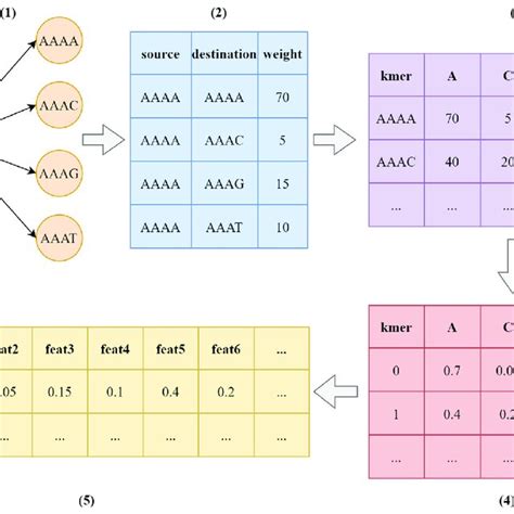 One Line Representation Process Of A Sequence Graph K 4 For K Mer Download Scientific Diagram