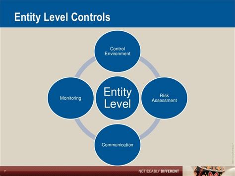 Entity Level Controls And