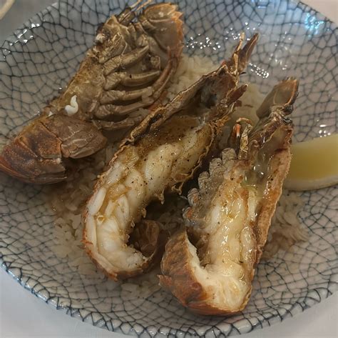 에바포피엘 👬아들둘맘 ️미수다에바🥰 Cousins ️ 사촌언니랑 Moretonbaybugs 부채새우붙이 퍼시픽페어골드코스트 Instagram