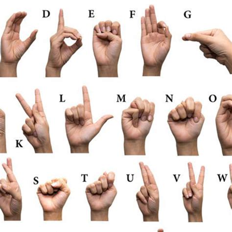 Sibi Language Object Detection Kaggle