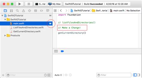 Programming For Team Using Xcode And Svn