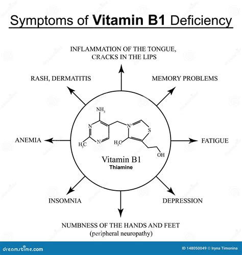 Vitamin B2 Deficiency Weight Gain At Robin Alexander Blog