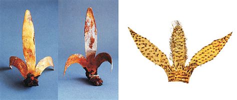 ‘발해는 고구려 계승한 황제국 증거유물 나와 네이버 블로그