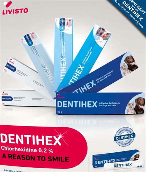 Souzana Savvidou On Linkedin Dentisept Is Now Dentihex 🐶 By