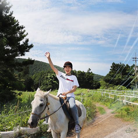알프스승마장 포니 제주도 공공플랫폼 탐나오