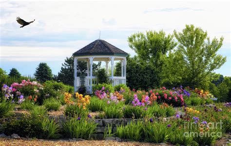 Sass Memorial Iris Garden Photograph By Elizabeth Winter Fine Art America