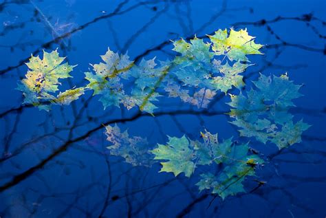 Example For Superbox The Lightbox Reimagined