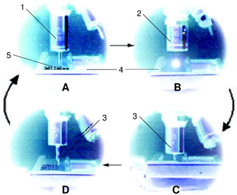 Figure 1 From A Novel Method For Preparation Of Tissue Microarray