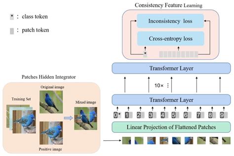Hybrid Granularities Transformer For Fine Grained Image Recognition