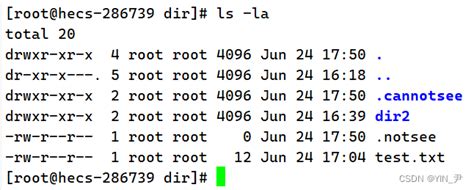【linux 系统编程】linux背景介绍 及 基本指令详解（一）linux 项目背景 Csdn博客