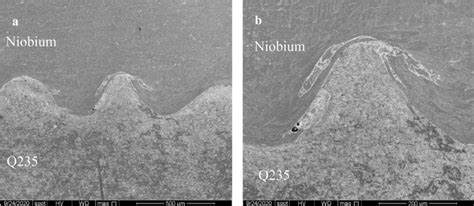 Sem Image Of Niobium Q235 Interface Download Scientific Diagram