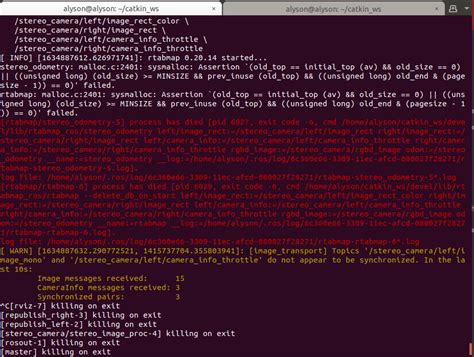 Rtabmap Version 02014 Build From Source With Odometry Node Crash · Issue 664 · Introlab