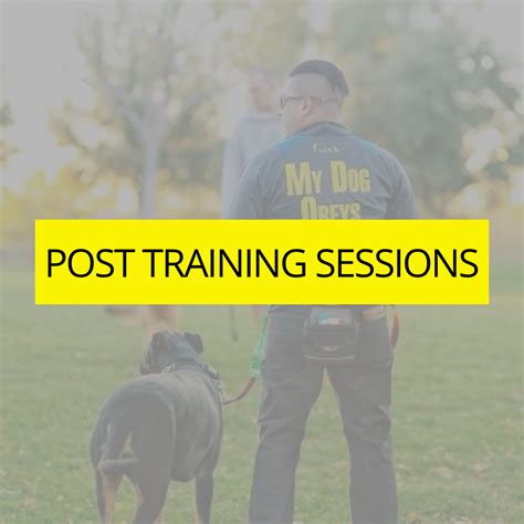 Post Training Sessions Reyes K 9 Academy