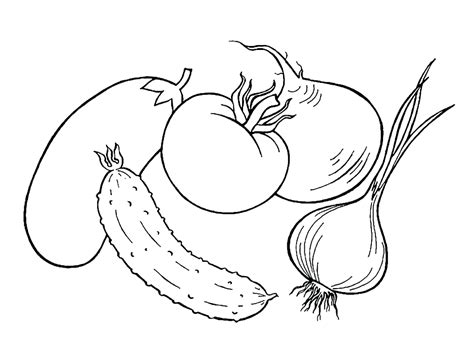 Картинки раскраски овощи распечатать