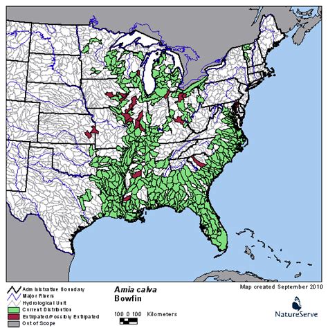 Freshwater Fish Mountains To Marsh