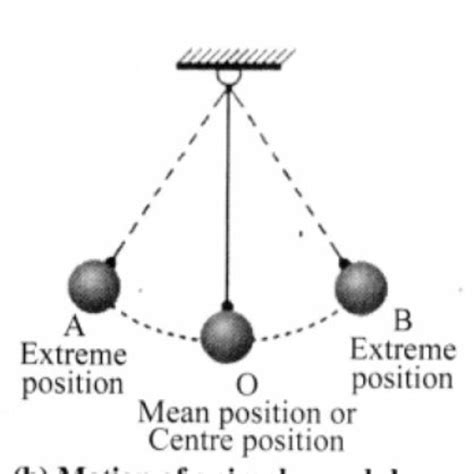 Simple Pendulum Science Assignment Teachmint