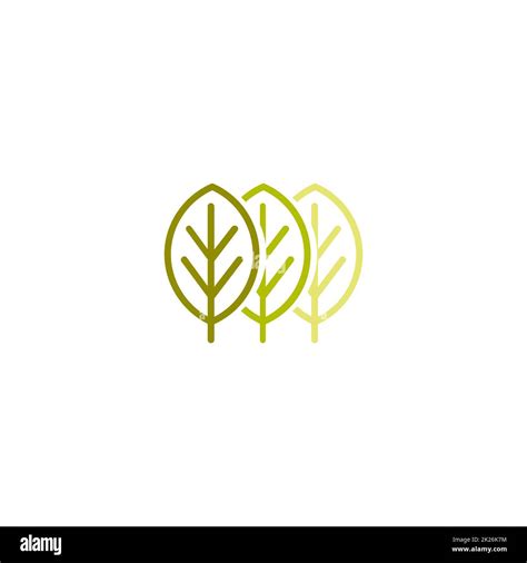 Isolated Abstract Green Color Leaves Contour Vector Logo Unusual Trees Vector Illustration