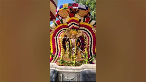 Devotionalsongs Love Ammana Sreemalarvizhisekar Youtube