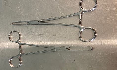 7 1 2” Allis Forceps Canmedical Veen Canada
