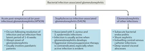 感染相关性肾小球肾炎的流行病学、发病机制、治疗和结局。nature Reviews Nephrology X Mol