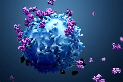 What Are Egfr Mutations In Nsclc