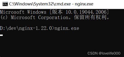 Nginx下载、安装与使用nginx Download Csdn博客