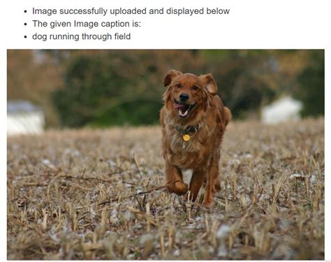 GitHub Pradhandebasish Image Caption Generator With CNN LSTM Automatically Generating The