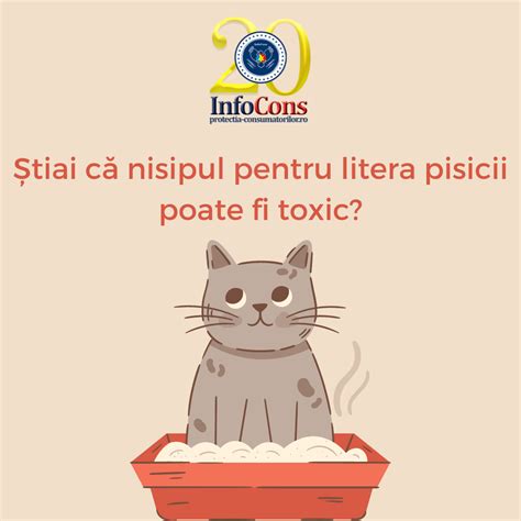 Știai Că Nisipul Pentru Litera Pisicii Poate Fi Toxic Infocons