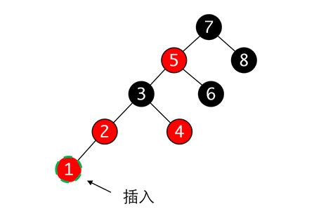 红黑树 数据结构电子讲义