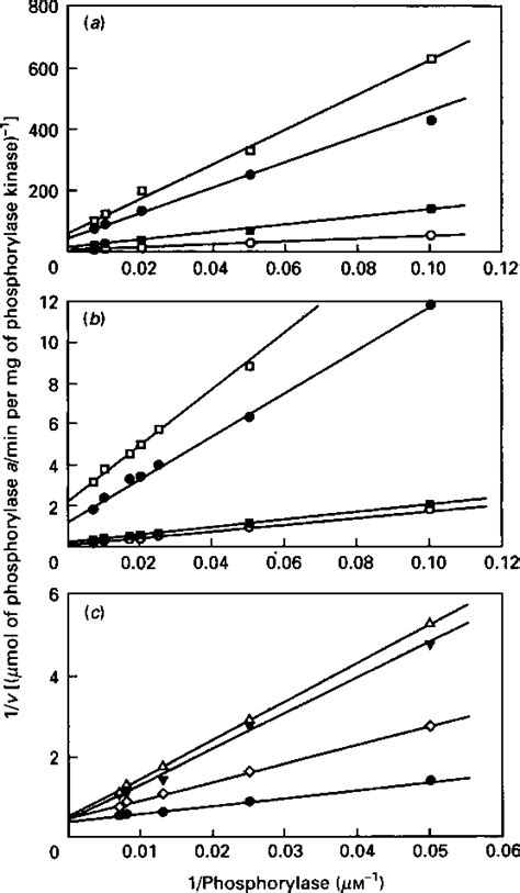 Figure 1 From A Kinetic Re Interpretation Of The Regulation Of Rabbit Skeletal Muscle