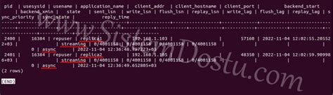 Postgresql Ile Synchronous Replication Sistem Ve Network Dünyasına Hoşgeldiniz