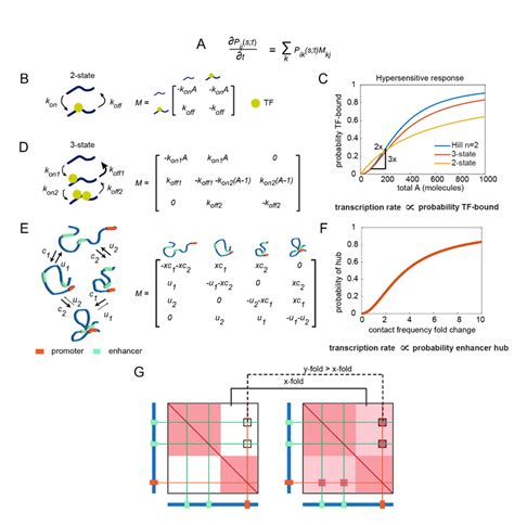 The Emergence Of Hypersensitivity In Simple Stochastic Transcription Download Scientific