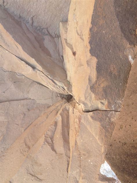 2012 08 16 363 Namibia 2012 Marvin Tomcat`s