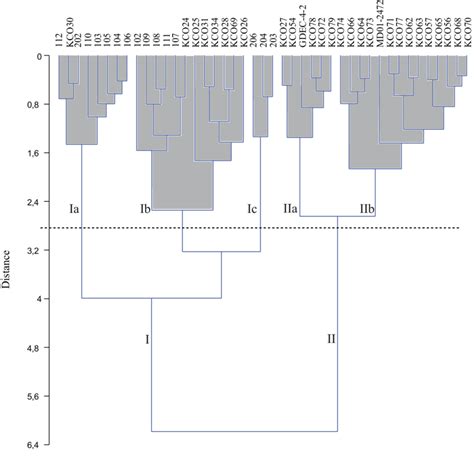 dendrogram classification produced by q mode cluster analysis using