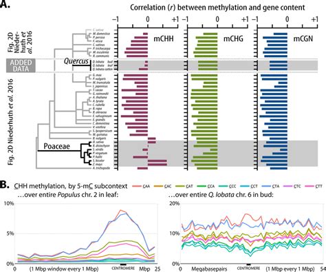Dna Methylation Across Chromosomes A Pearson Correlation R Between