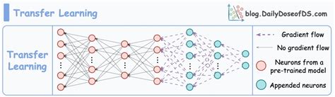 Transfer Learning Vs Fine Tuning Vs Multitask Learning Vs Federated