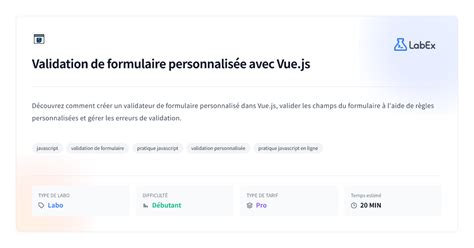 Implémenter Une Validation De Formulaire Personnalisée Avec Vuejs Labex