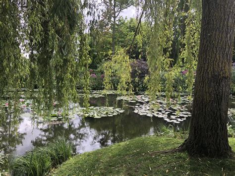 Random Flickr Random Flickr