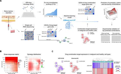 Schematic Representation Of The Drug Combination Prediction Approach Download Scientific