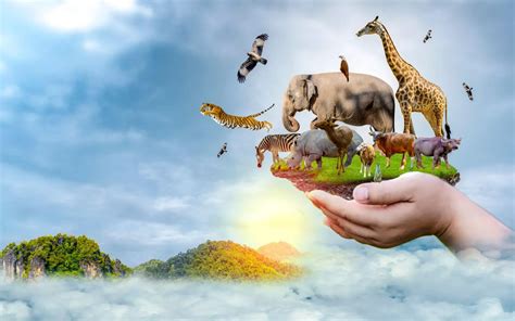 Cryo Conservation Saving Species From Extinction