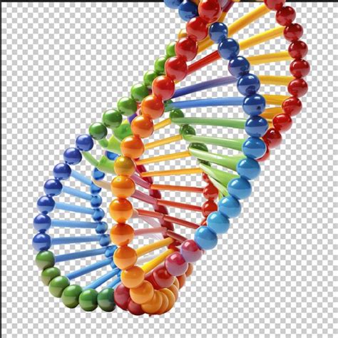 Premium Psd Dna Multi Color Isolated On White Background