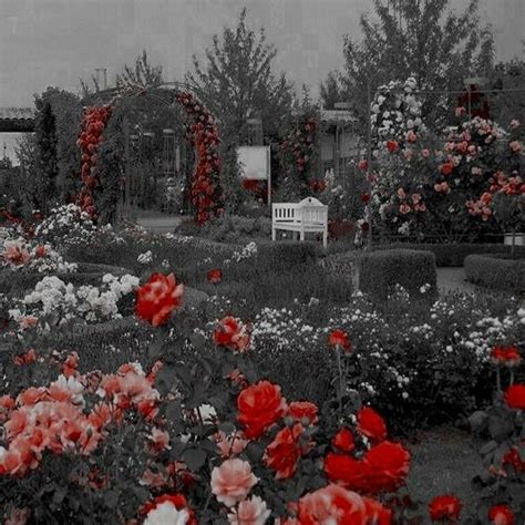 Scp Template Wiki Scp Foundation Amino